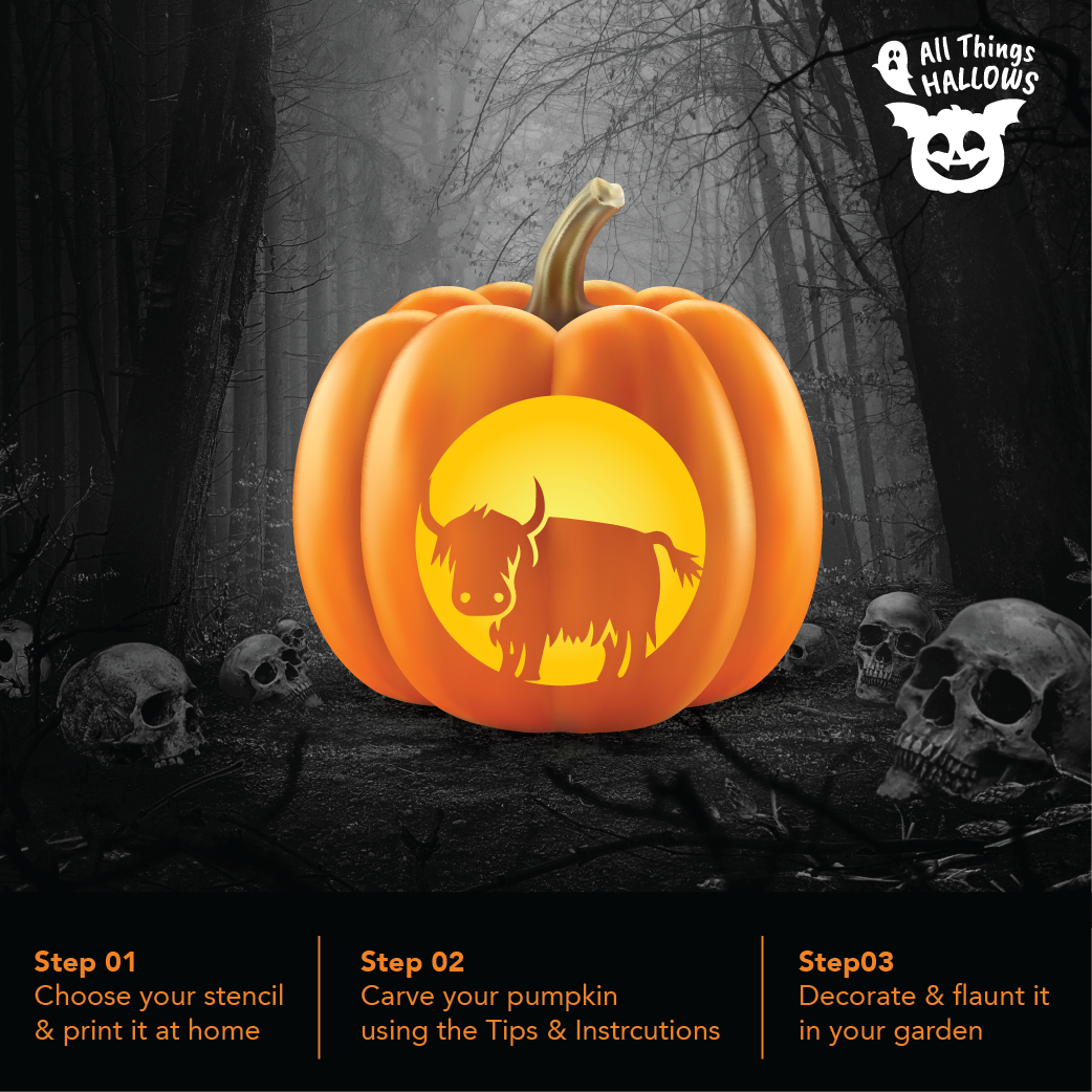 Highland Cow Pumpkin Stencil - Allthingshallows.com – AllThingsHallows