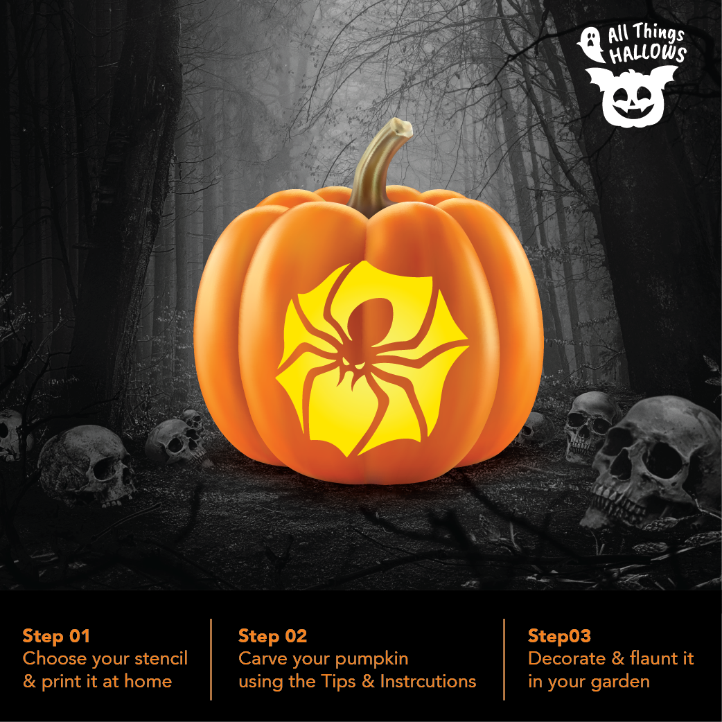 Spider Pumpkin Stencil - Allthingshallows.com – AllThingsHallows
